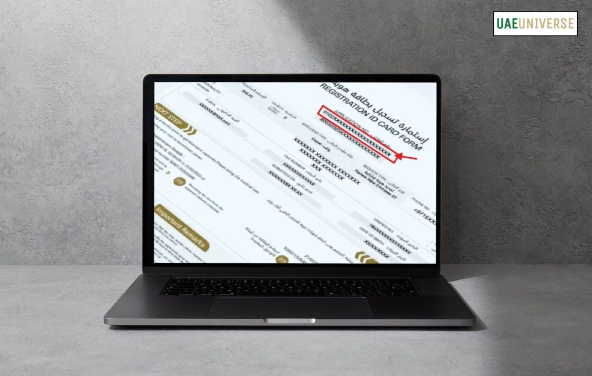 Confirm Emirates ID Status for an Official Identity Card